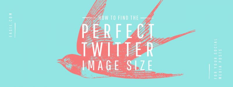 How to Find the Perfect Twitter Image Size for your Social Media Posts ...